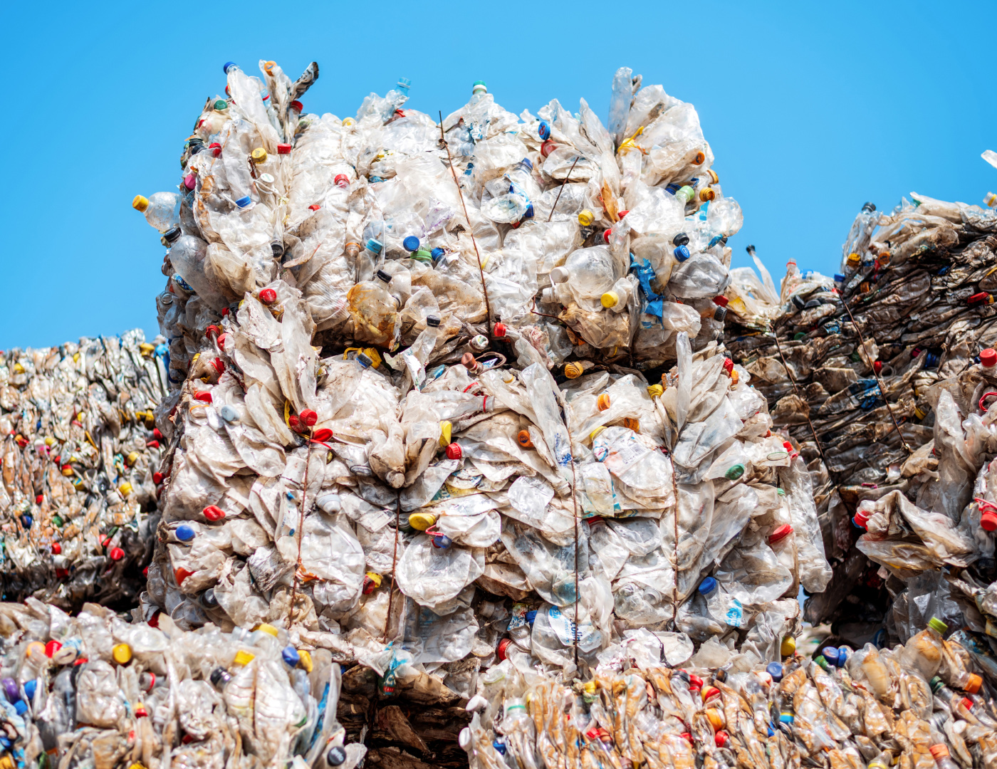 Paxta chiqindilaridan bir martalik plastik idishlar muammosini hal ...